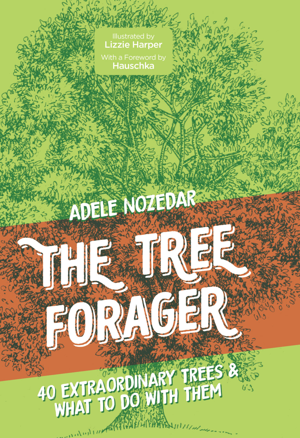The Tree Forager: 40 Extraordinary Trees & What to Do with Them ...