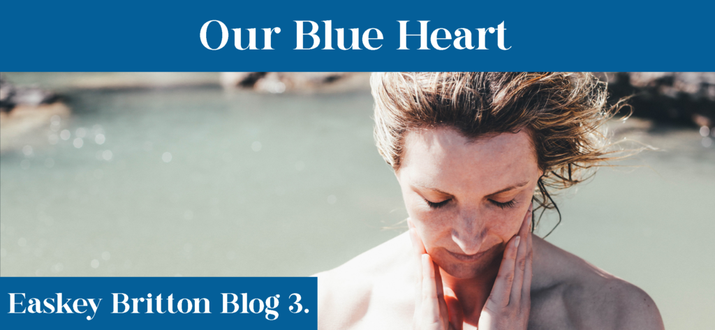 Our Blue Heart by Easkey Britton - Watkins Publishing